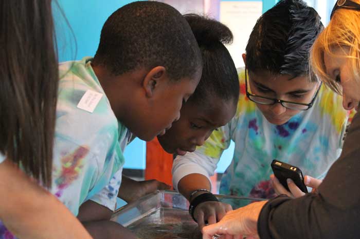 The Importance of Thinking In- and Out-of-the-Box – EdTech Digest